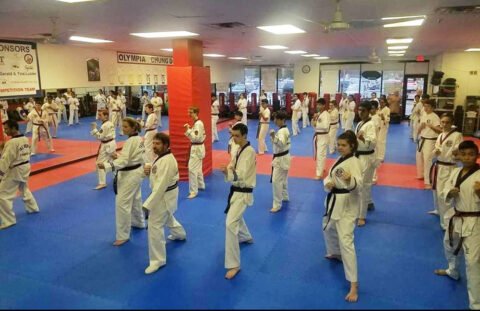 About Olympia Taekwondo | Canton / Commerce Township Martial Arts